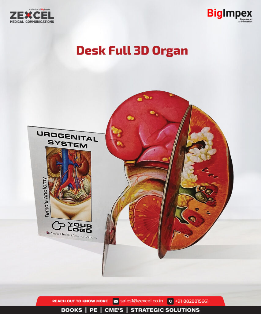 Shop Desk Full 3D Organ (Anejo) | Order Bulk Corporate Gifts